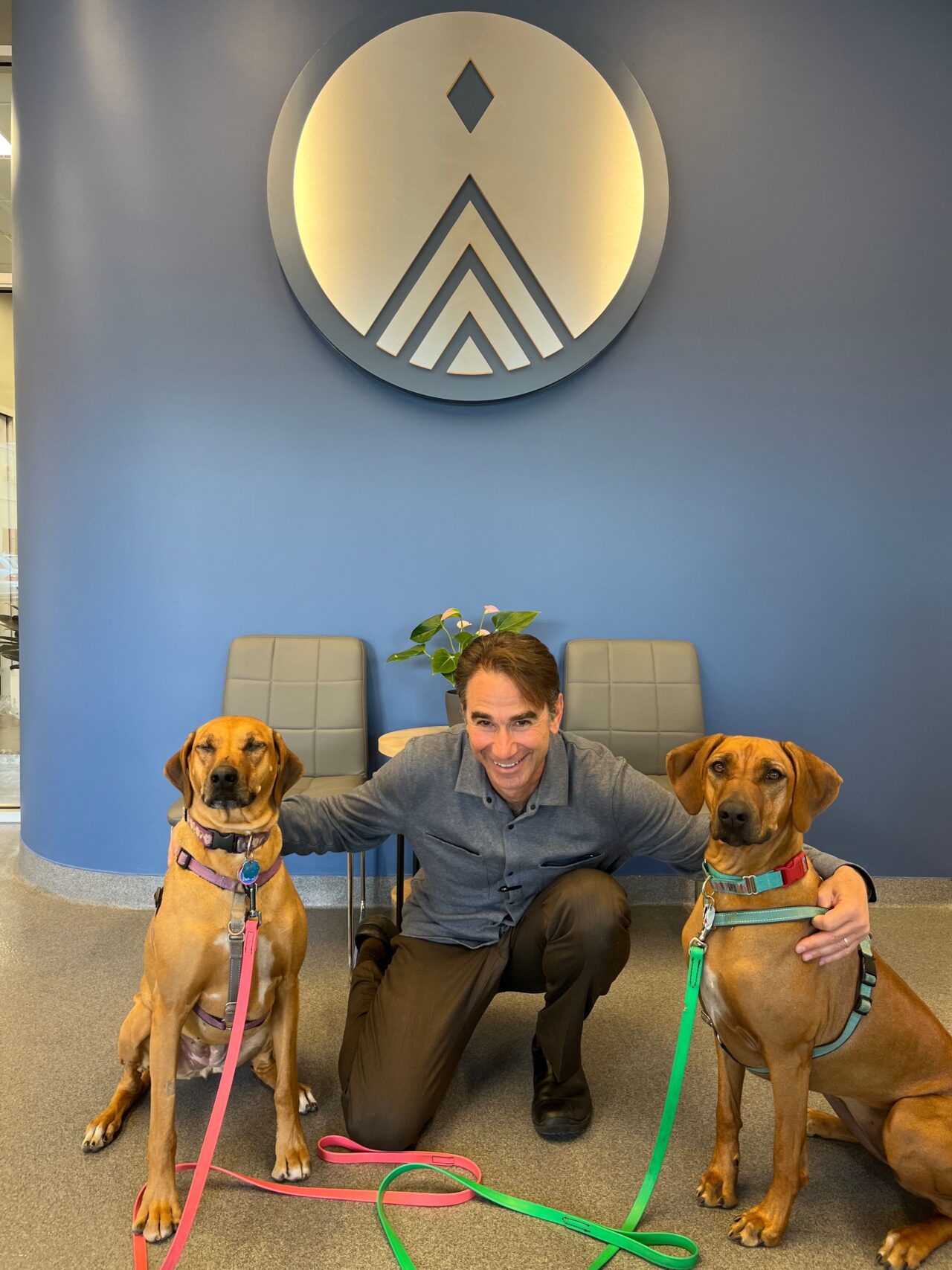 Innovative Procedure Restores Bean's Vision | Mountain Star Veterinary ...