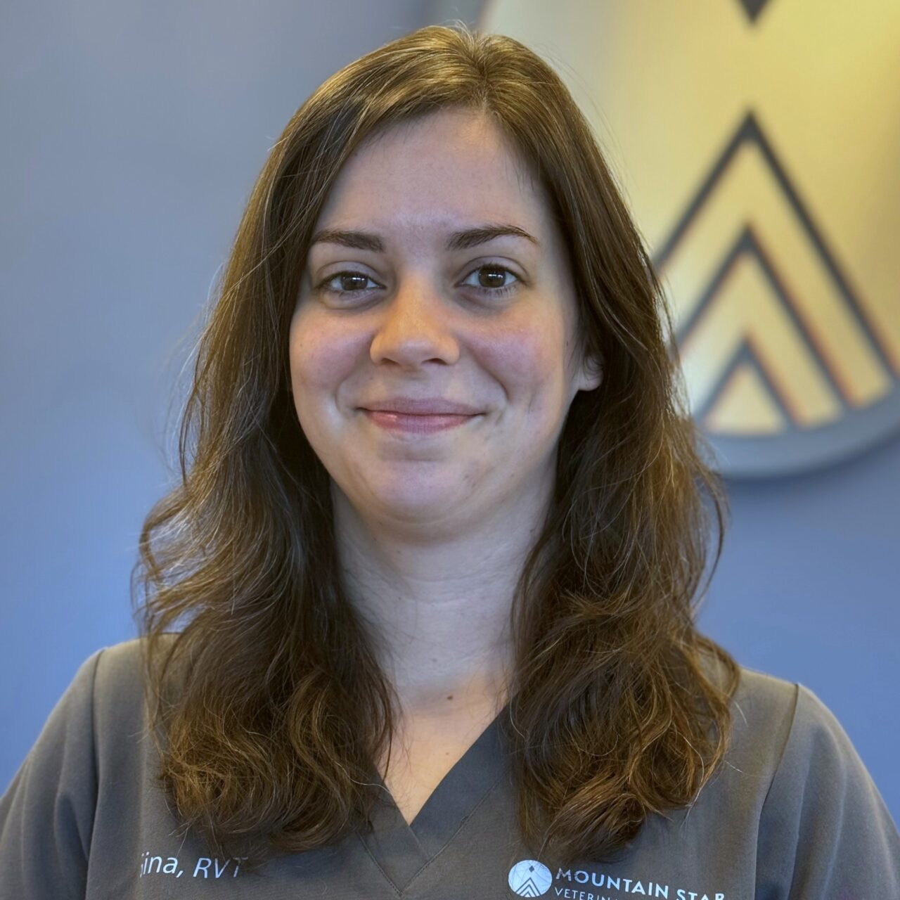Veterinarian In Denver, CO 80121 | Mountain Star VS